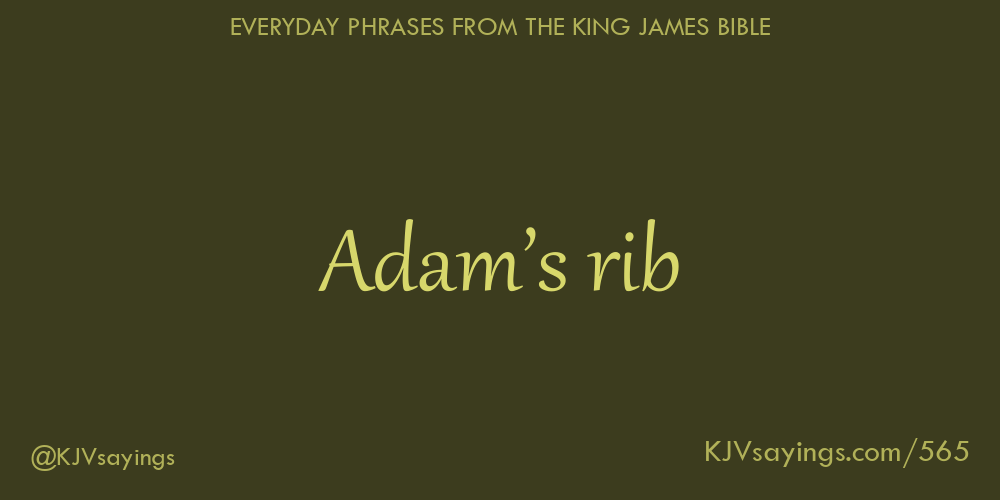 Adam’s rib - King James Bible (KJV) sayings