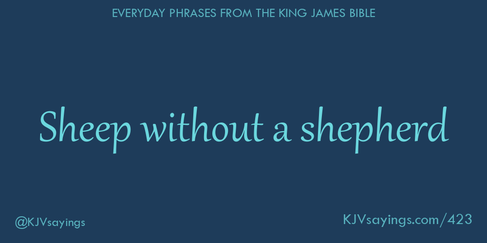 Sheep without a shepherd - King James Bible (KJV) sayings