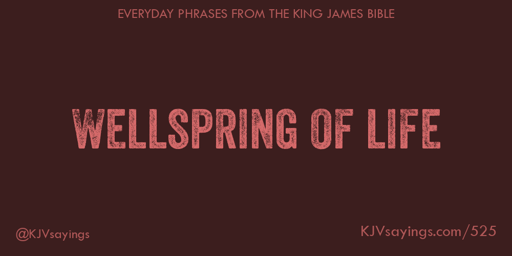 Wellspring of life - King James Bible (KJV) sayings